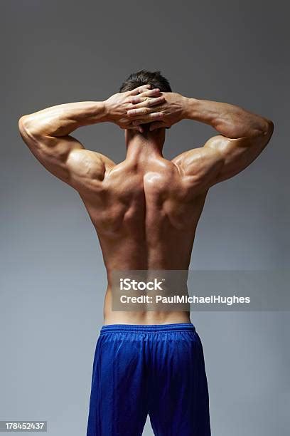 근육질의 젊은 남자 성과향상을 촉진하는 유연한 암 근육을 스포츠 아웃핏 강사에 대한 스톡 사진 및 기타 이미지 강사 건강한 생활방식 근육질 체격 Istock