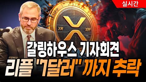 리플xrp은 실제 세계에서 어떻게 사용될까요 체인 볼트