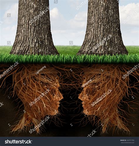 30 876 Building Roots Images Stock Photos Vectors Shutterstock