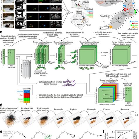 mouse body model and gpu accelerated tracking algorithm a full assembly