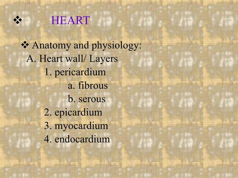 Cardic System Introduction Pdf