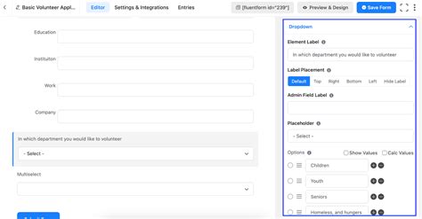how to create a volunteer application form in wordpress fluent forms