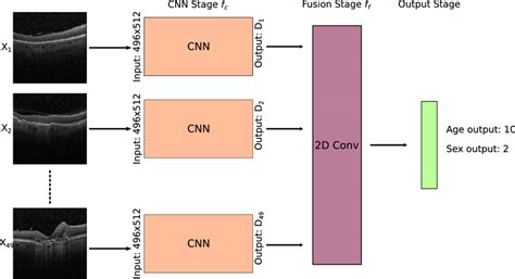 Overview Of The Cscan Method Features Of Every Independant Bscan Are Download Scientific Overview Of The Cscan Method Features Of Every Independant Bscan Are Download Scientific