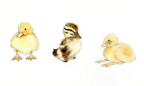 Adorable Art Learn How To Draw And Paint A Duckling Craftsy