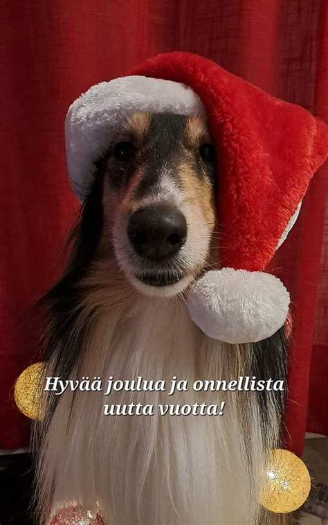 Hyvää Joulua Ja Onnellista Uutta Vuotta Kaikille ♥ Awapiks