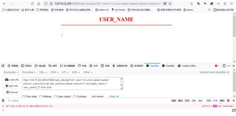 多种数据库注入复线 墨者学院SQL手工注入漏洞测试 Oracle数据库 IwakuraLain 博客园