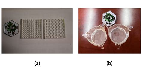 Team BIT Hardware Microarray 2018 Igem Org