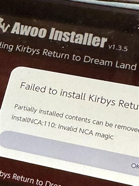 I Have Issue With Instalinca 110 Invalid Nca Magic R Switchpirates