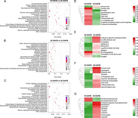 Integrative Analyses Of Metabolome And Transcriptome Reveals