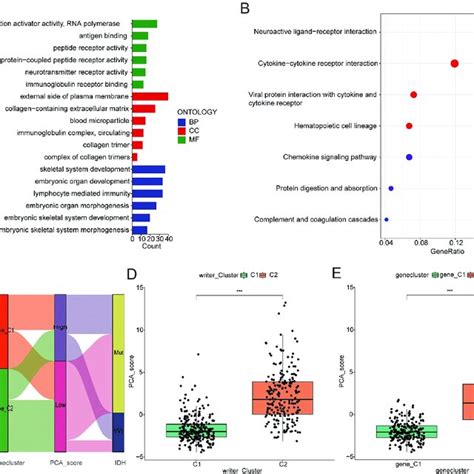 Identification Of Gene Subtypes Based On Degs A And B Go And Kegg Download Scientific