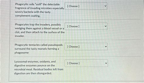 Solved Phagocytic Cells Sniff The Delectable Fragrance Of