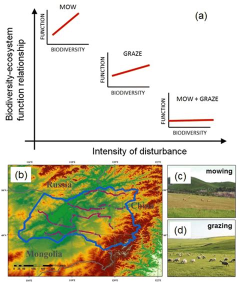 A Biodiversity Ecosystem Function Relationship With Predicted Changes Download Scientific
