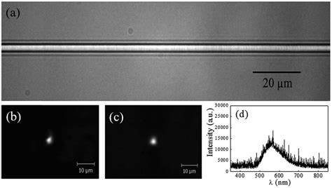 A Shows An Optical Microscope Image Top View Of The Waveguide