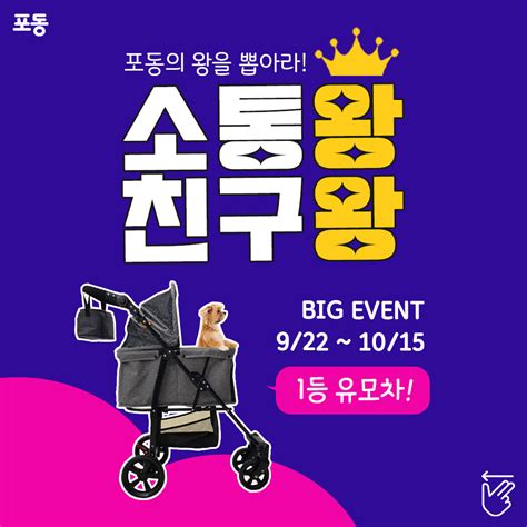 [🎉포동데이 이벤트] 포동의 을 뽑습니다 포동 커뮤니티