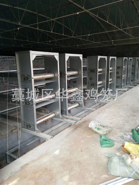 自动出粪上料元宝肉鸡笼先进自动化立体肉鸡笼新型肉鸡层叠式鸡笼 阿里巴巴