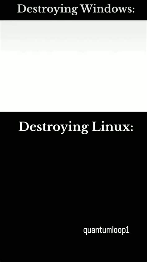 Quantum Loop Coading Coading Instagram