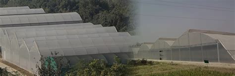 Protected Cultivation Saveer