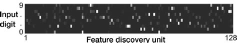 Figure 14 From Bio Inspired Spiking Convolutional Network Using Layer Wise Sparse Coding And