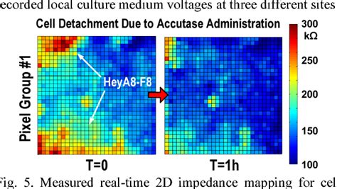 Figure 3 From A High Density CMOS Multi Modality Joint Sensor