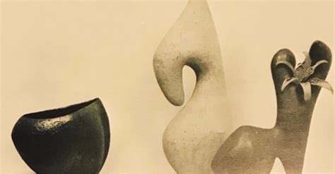 Style Guide Biomorphic Shapes Les Collection