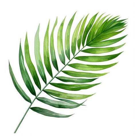 Palm Leaf In Oil Painting Style On White Background In 2025 Painting