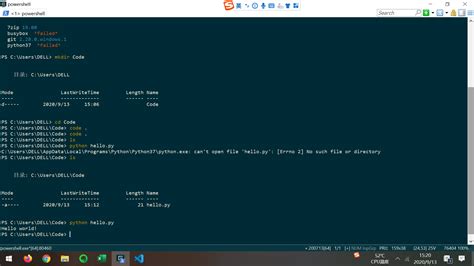 安装 Python 的过程失败 Issue neolee pilot GitHub