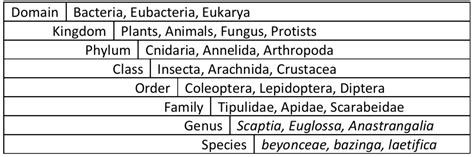 Lab 1 Assignment Arthropod Classification Entomology 311 Lab Manual