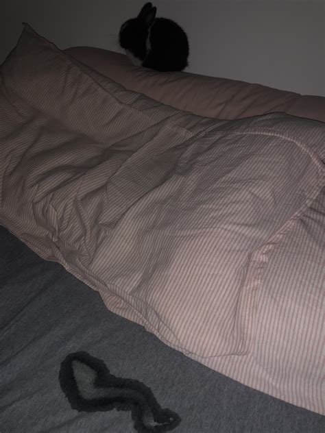 Woke Up In The Middle Of The Night To Pee On My Bed Mildlyinfuriating