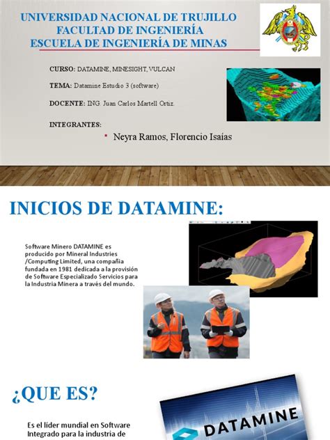 software datamine diaposotivas pdf minería software
