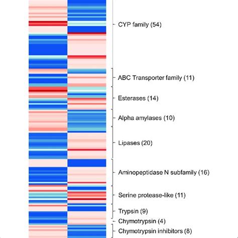 heatmap showing the expression profile of transcripts clustered into