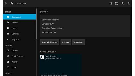 jellyfin media player flathub