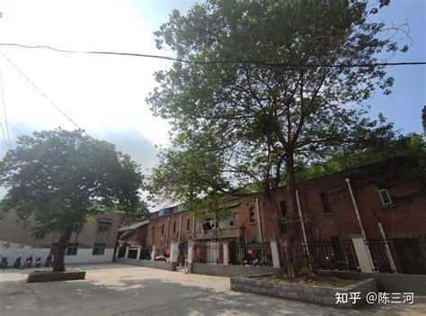 管城区东豆腐砦街见闻 知乎
