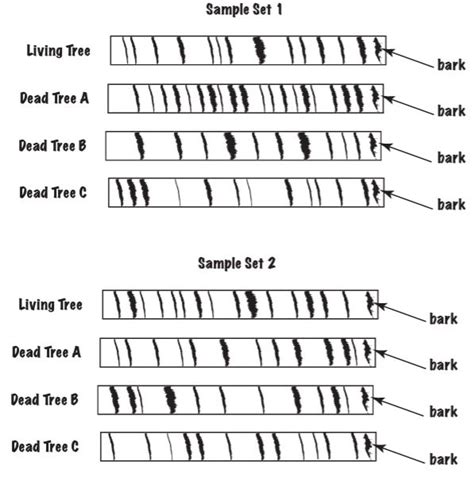 ActivityDendrochronology Worksheets Library
