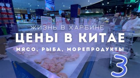 Цена на продукты в Китае Харбин мясо рыба морепродукты китай харбин ценынапродукты Youtube