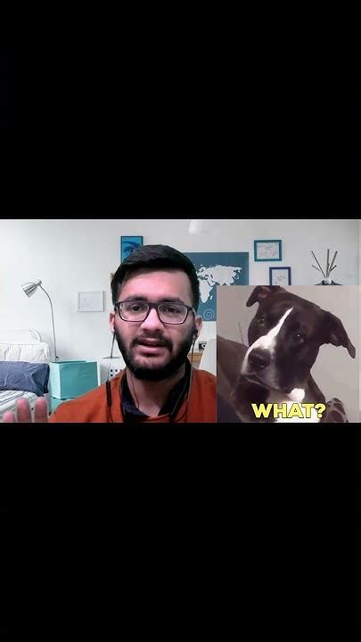 Array Vs Vector Teaser All You Need To Know C Stl Youtube