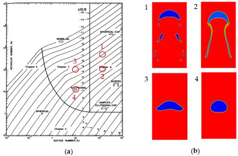 On The Simulations Of Thermal Liquid Foams Using Lattice Boltzmann Method