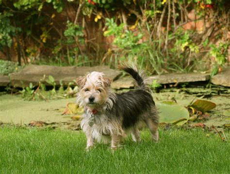 Small Dof In Garden Free Photo Download Freeimages