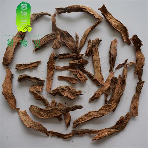 千年健片 效 植物 第18页 大山谷图库