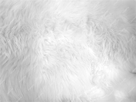Premium Photo White Fur Texture Backgrounds