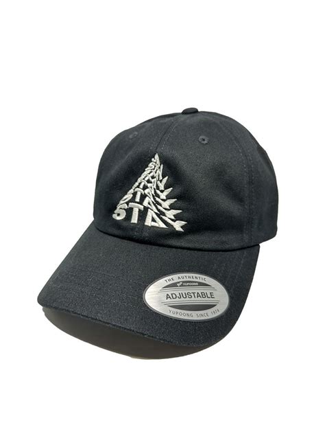 Trying Dad Hat Black