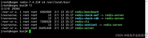Redis7——基础篇（一） Csdn博客