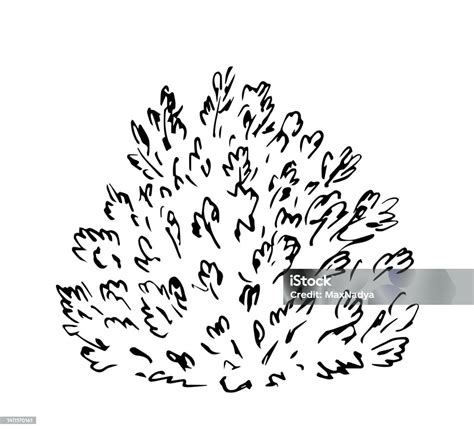 간단한 손으로 그린 검은 윤곽선 벡터 그리기 무성한 수풀 식물 울타리 낙엽 식물 나무 잉크로 스케치하십시오 조경 디자인 요소 자연 산울타리에 대한 스톡 벡터 아트 및 기타