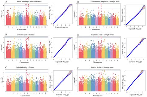 Manhattan And Quantilequantile Qq Plots Of Marker Traits