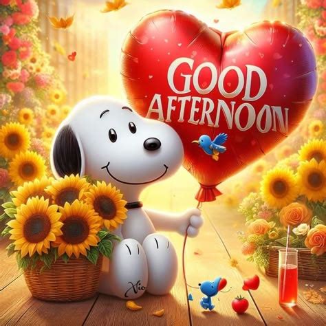 Good Afternoon Memes Humor