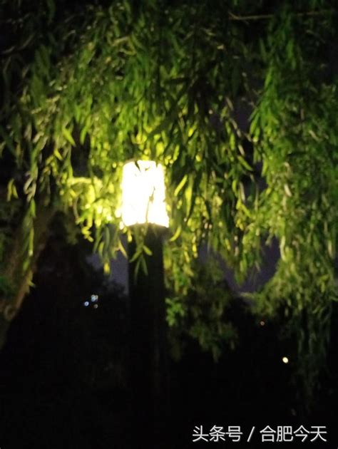 高考前夕隨手拍合肥包公園夜景 每日頭條