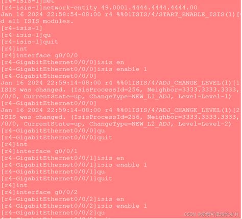 isis实验 臧家林datacom csdn博客