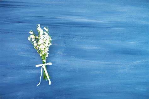 섬세한 향기와 멋진 향기로운 흰색 꽃 회색 나무 또는 금속 테이블에 계곡 꽃의 백합 0명에 대한 스톡 사진 및 기타 이미지 0명 5월 계곡 Istock