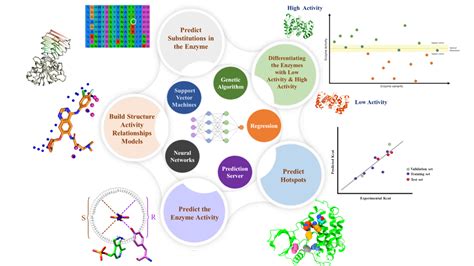 AI ML Technologies For Enzyme Engineering Kcat Enzymatic