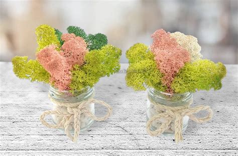 Бурканчета със скандинавски мъх Сувенир Ръчно изработени Бурканчета със скандинавски м