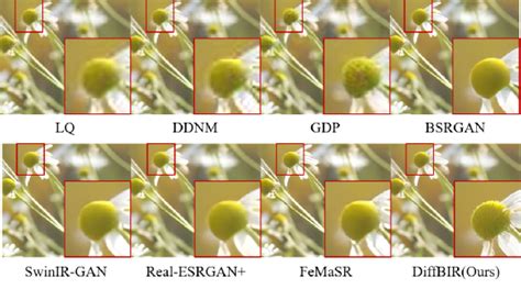 230815070 Diffbir Towards Blind Image Restoration With Generative Diffusion Prior